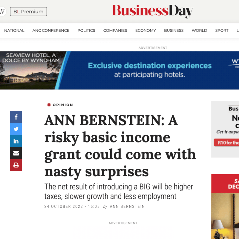ANN BERNSTEIN: A risky basic income grant could come with nasty ...